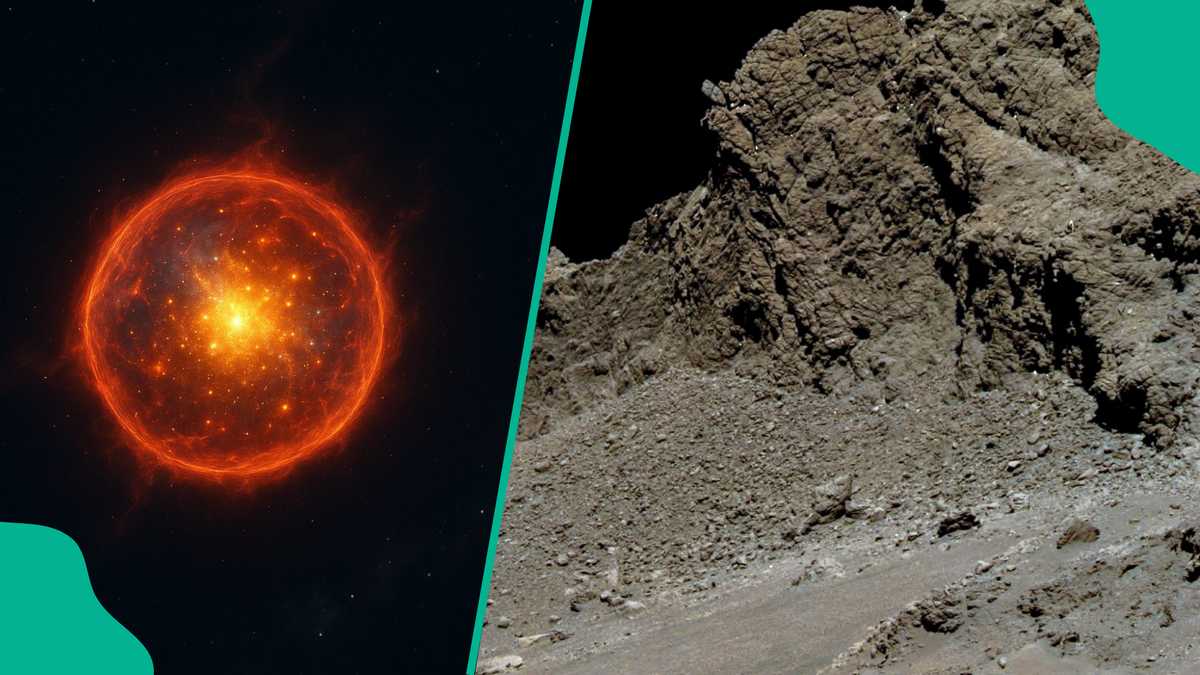 Snowball predicted to end world in 2026, see details