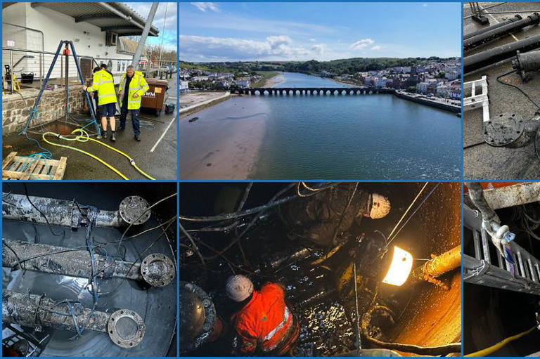 Devon town's iconic feature to spring back to life