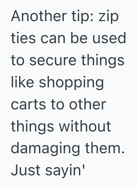 Shopper lost her parking spot to a rude driver, so she barricaded the ...