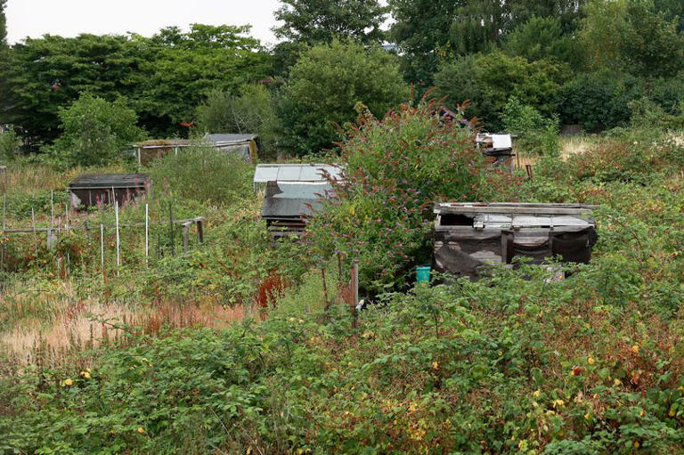 Call to turn unused open spaces into Coventry community gardens and ...