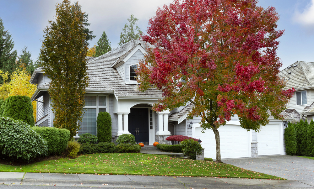 Landscaping tips for curb appeal