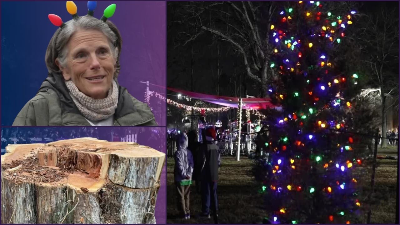 Virginia community saves Christmas after vandals destroy 40-foot cedar ...
