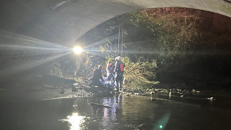 Wanted suspect rescued after diving off bridge while fleeing Nashville ...
