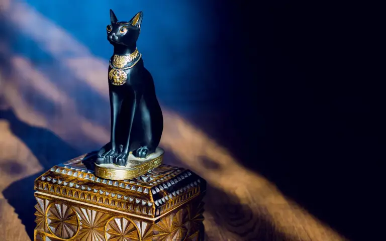 New research pinpoints milestone in history of cat domestication