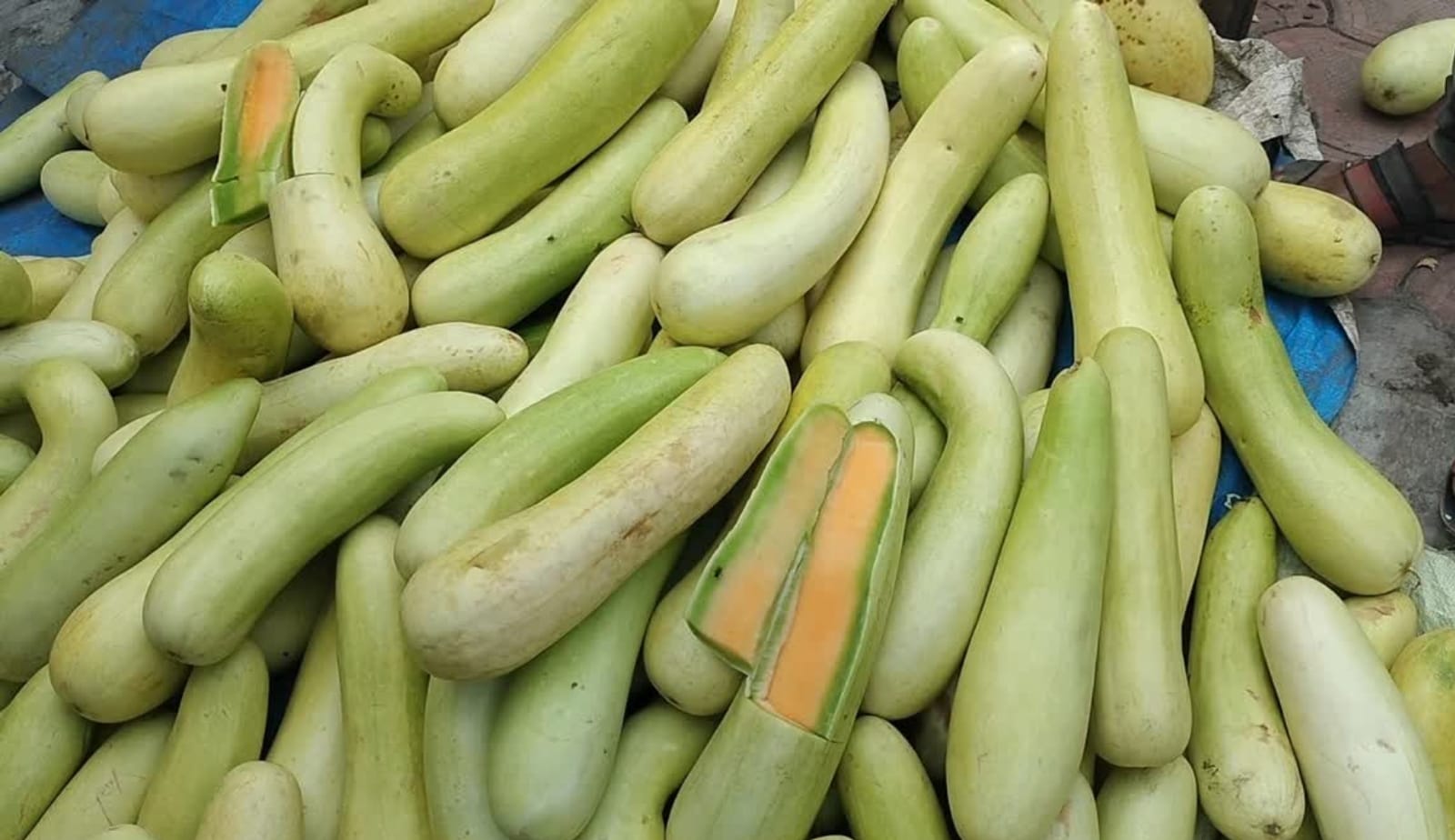Balram cucumber: मध्य प्रदेश के सैलाना का बलराम खीरा हुआ कॉपीराइट ...