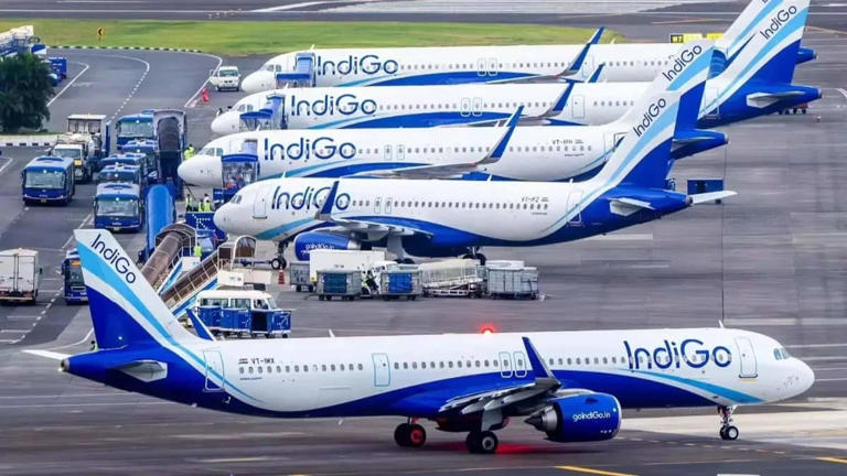 IndiGo board's crisis management group regularly monitoring situation ...