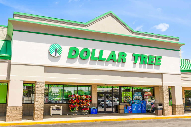 The 15-cent Dollar Tree find I wish I'd bought sooner (it's saving me a ...