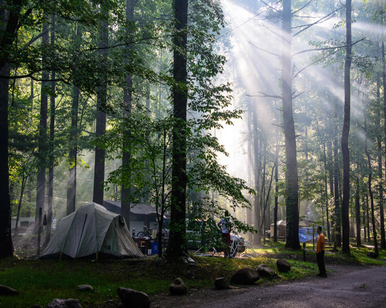 Ground saturation issues in Great Smoky Mountains campsites