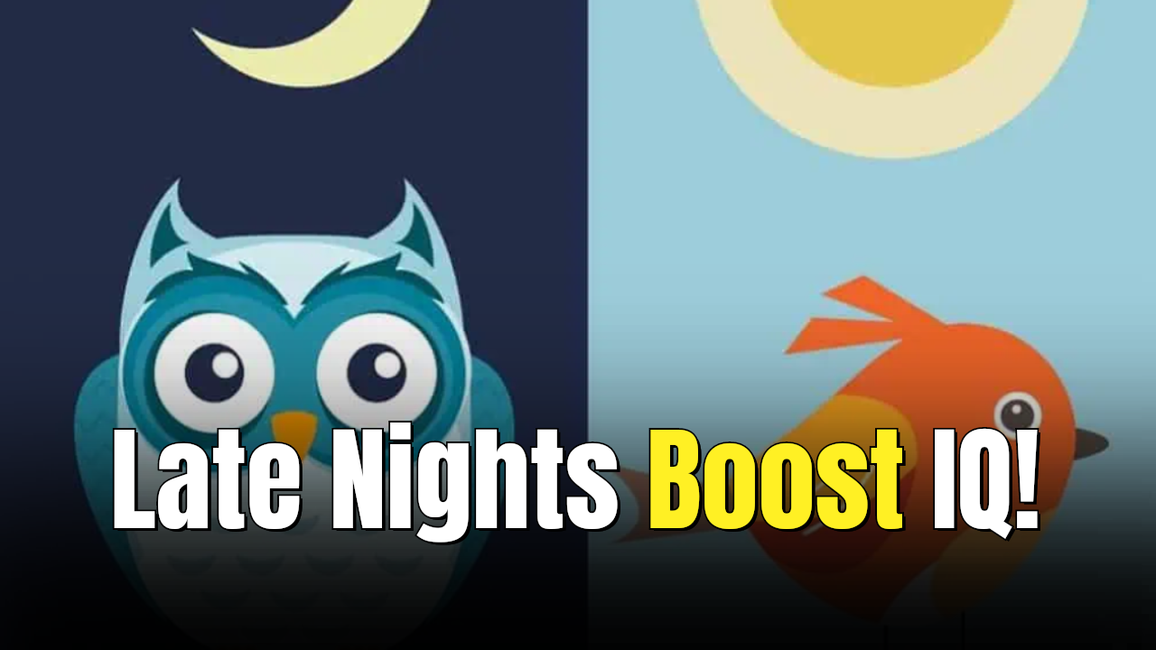 Night owls versus early birds: Who’s smarter?