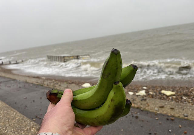 Shipping containers carrying thousands of bananas wash up on the south ...