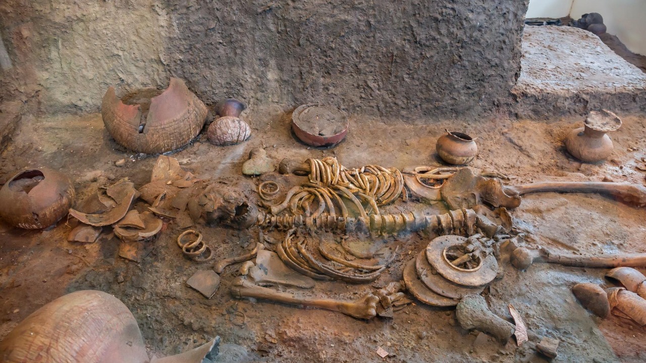 Scientists uncover a fossil with brain and organs still intact