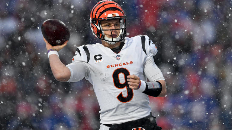 NFL Week 14 pick 'em: Can Burrow lead Bengals over Bills?