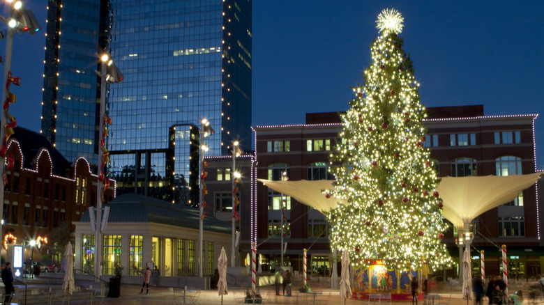 The 5 tallest real Christmas trees in America are truly stunning sights