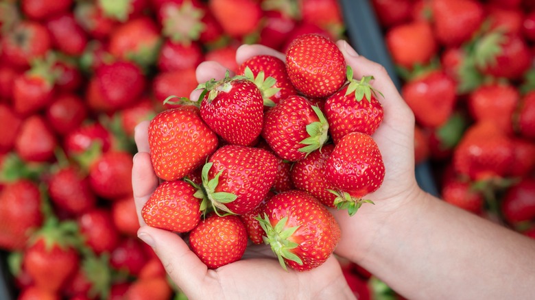 13 types of berries, explained