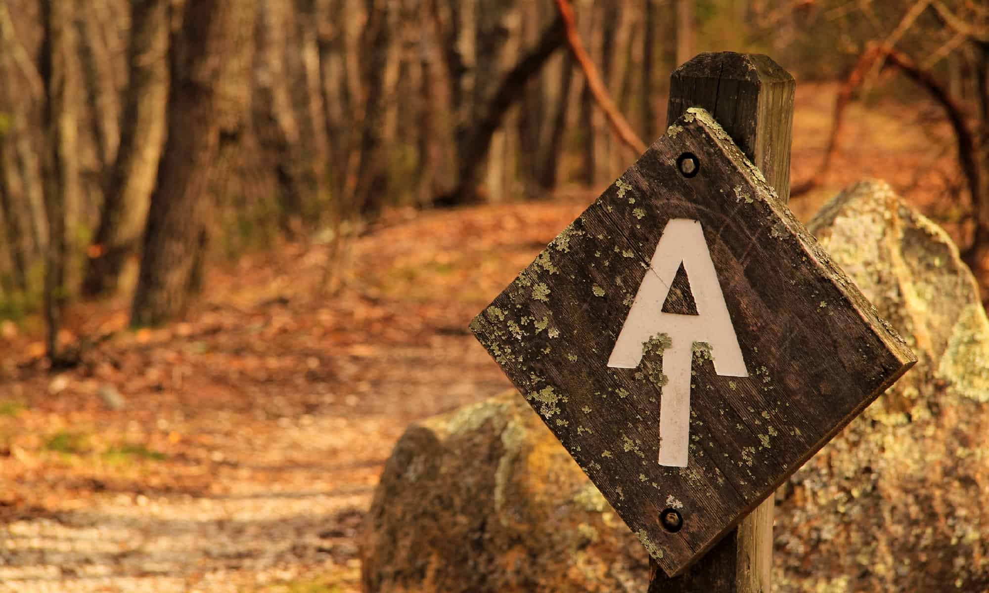 The oldest mountain ranges in the US, ranked