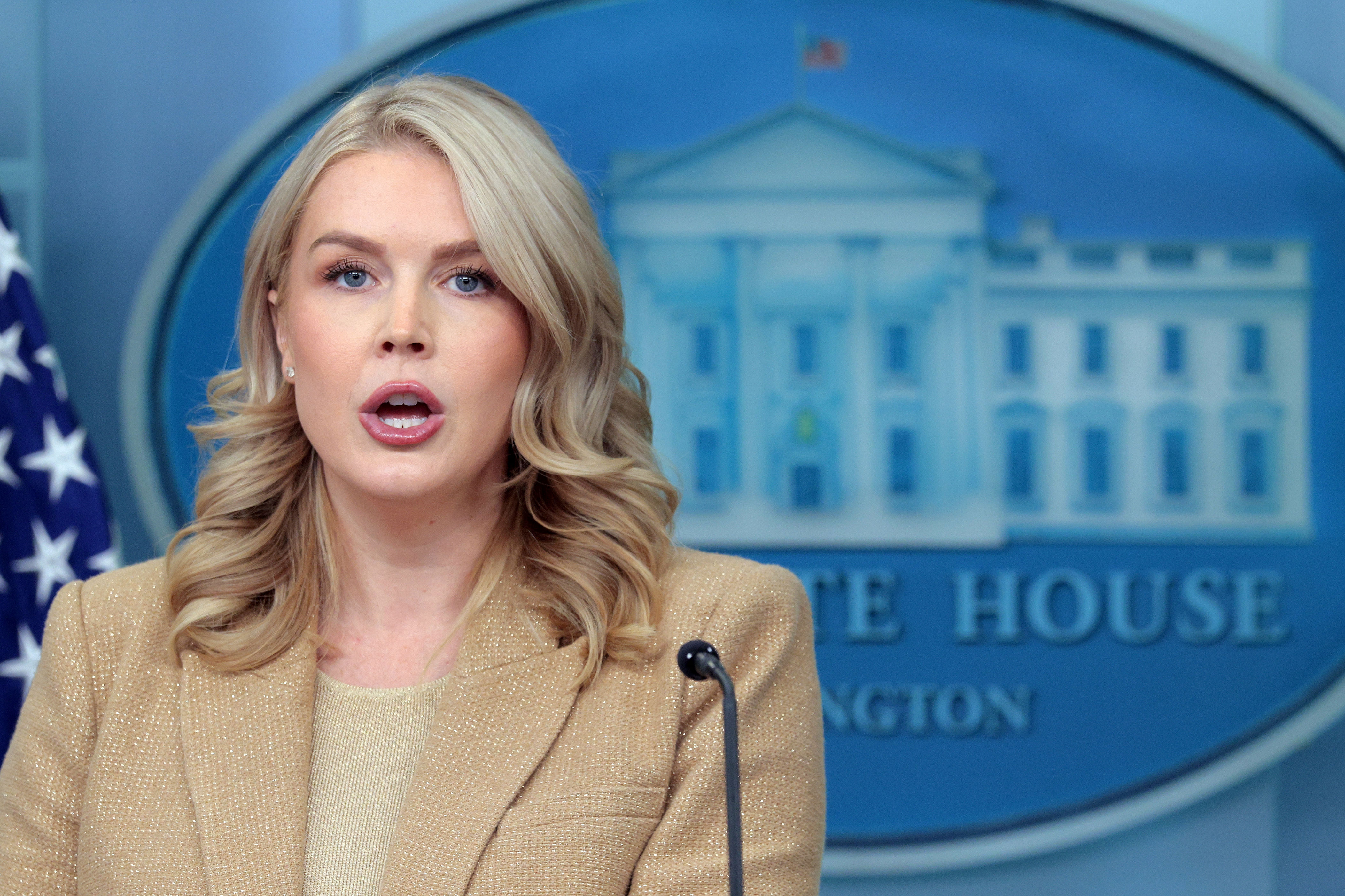 Mom of Karoline Leavitt’s nephew speaks out after her ICE arrest