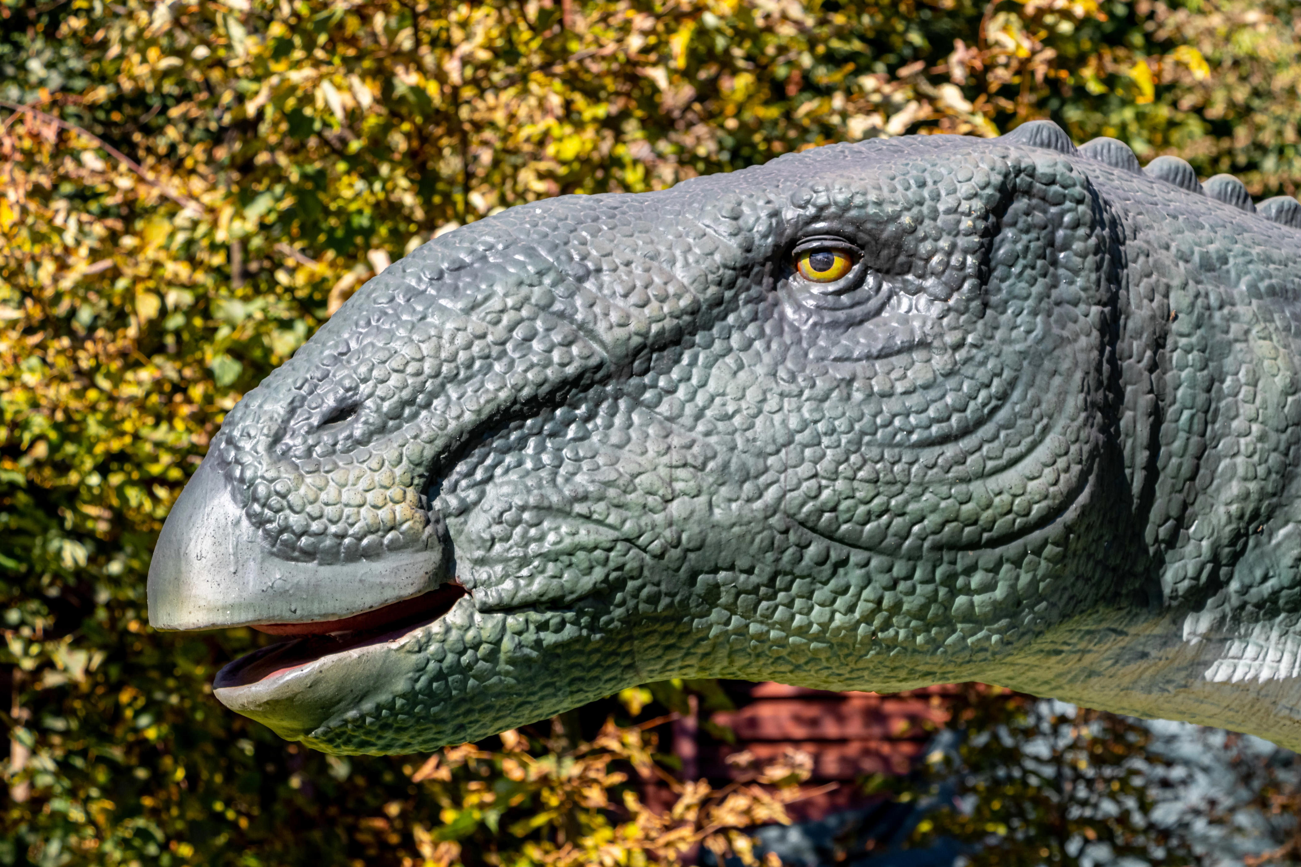 'Medusa,' possible 'dinosaur mummy' discovered in Badlands, transferred ...