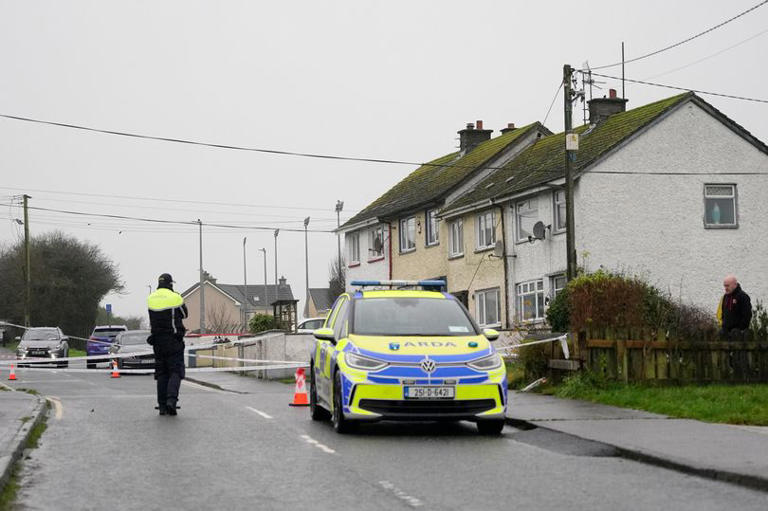 Offaly house fire horror as boy, 4 and woman killed in 'murderous arson ...
