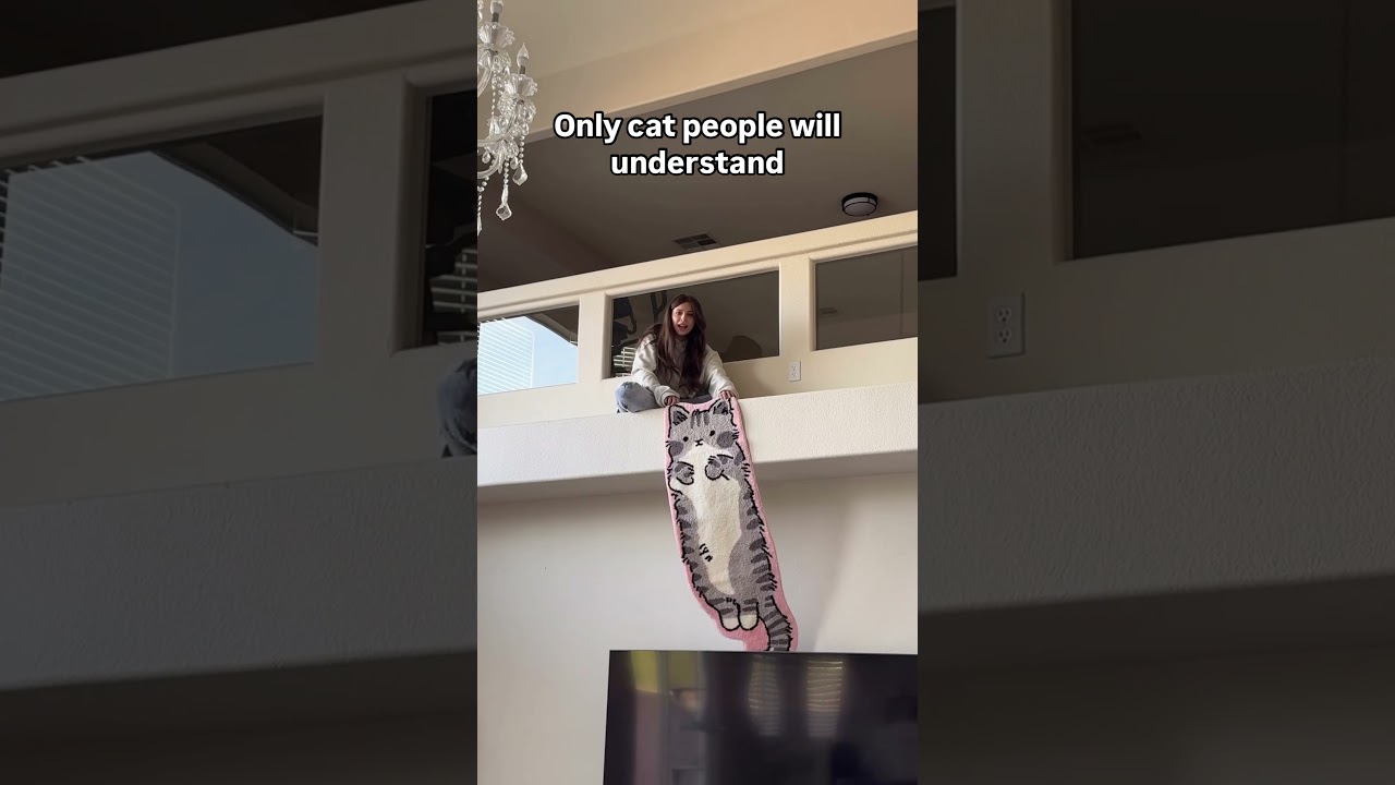 Our house welcomes its new supreme leader with paws