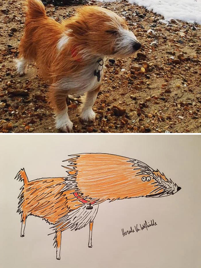 Man who’s never drawn in his life does crappy pet portraits for charity ...