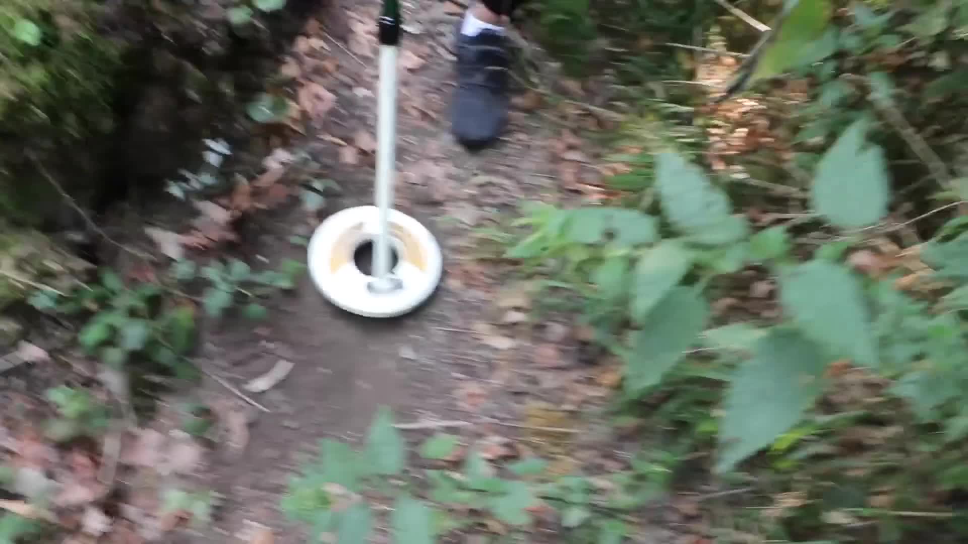 Schatz im Wald gefunden! | Kelvin und Marvin