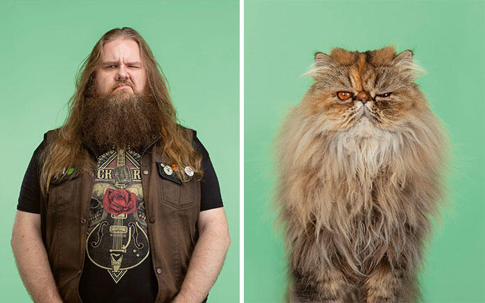 Photographer takes pictures of cats and humans that are doppelgangers ...