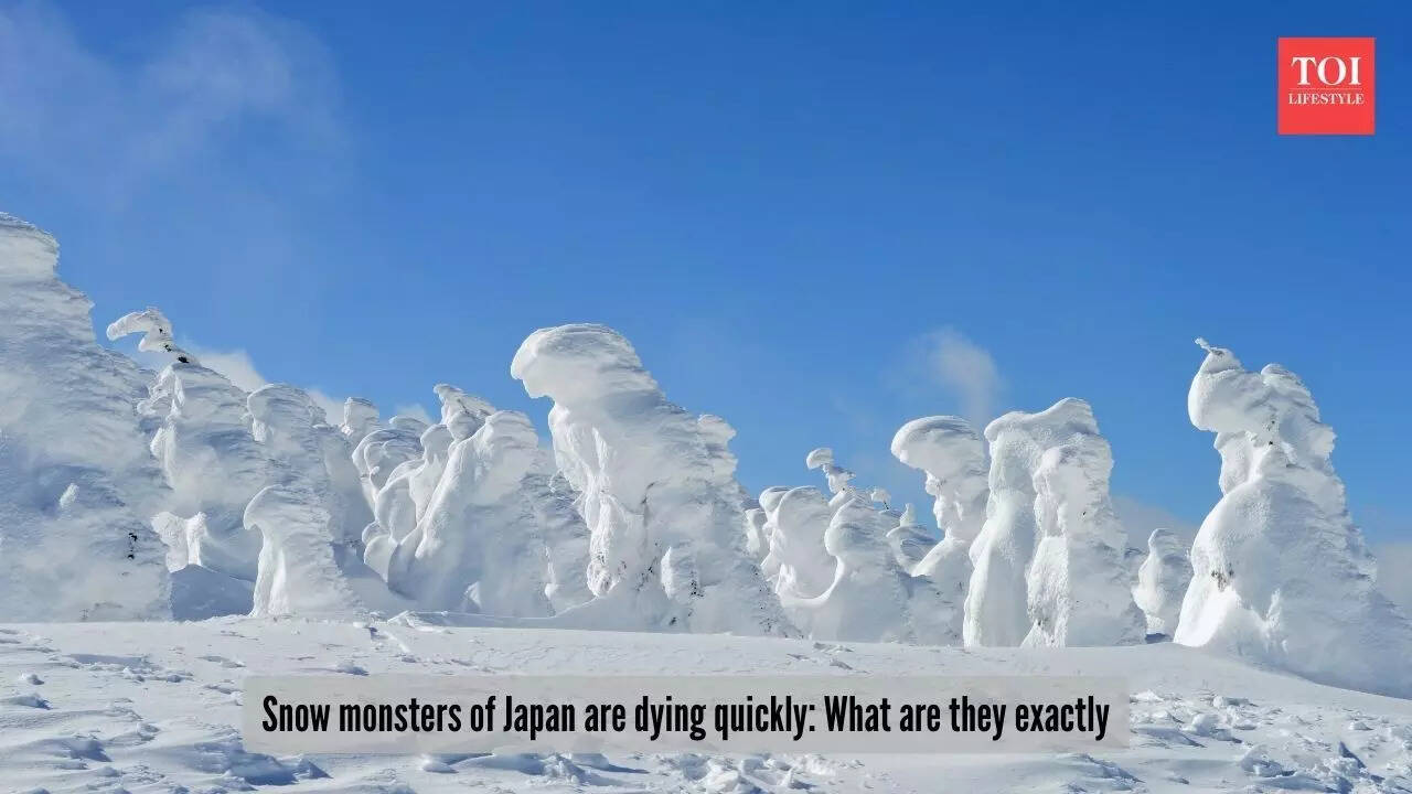 Rare 'snow monsters' of Japan: The most unique ghostly trees of the ...