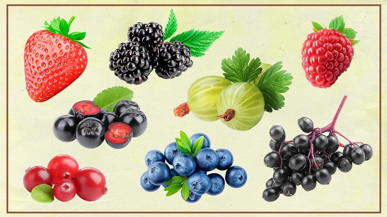 13 Types Of Berries Explained