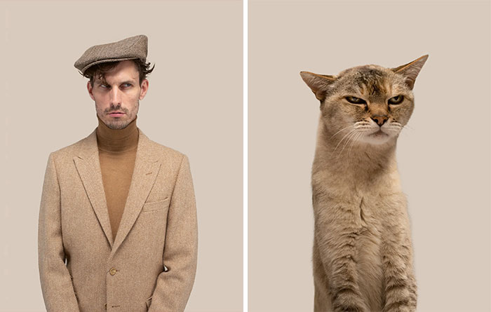 Photographer takes pictures of cats and humans that are doppelgangers ...