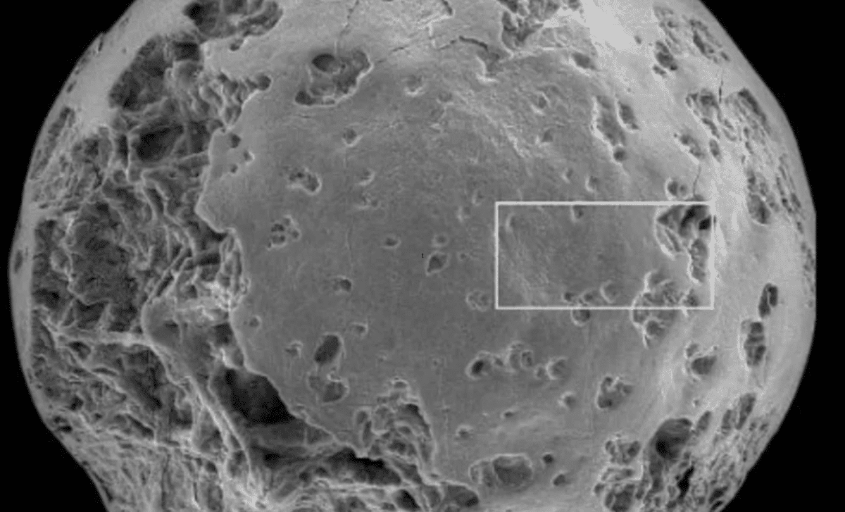These fossilized embryos are so detailed, they’re like a time capsule ...