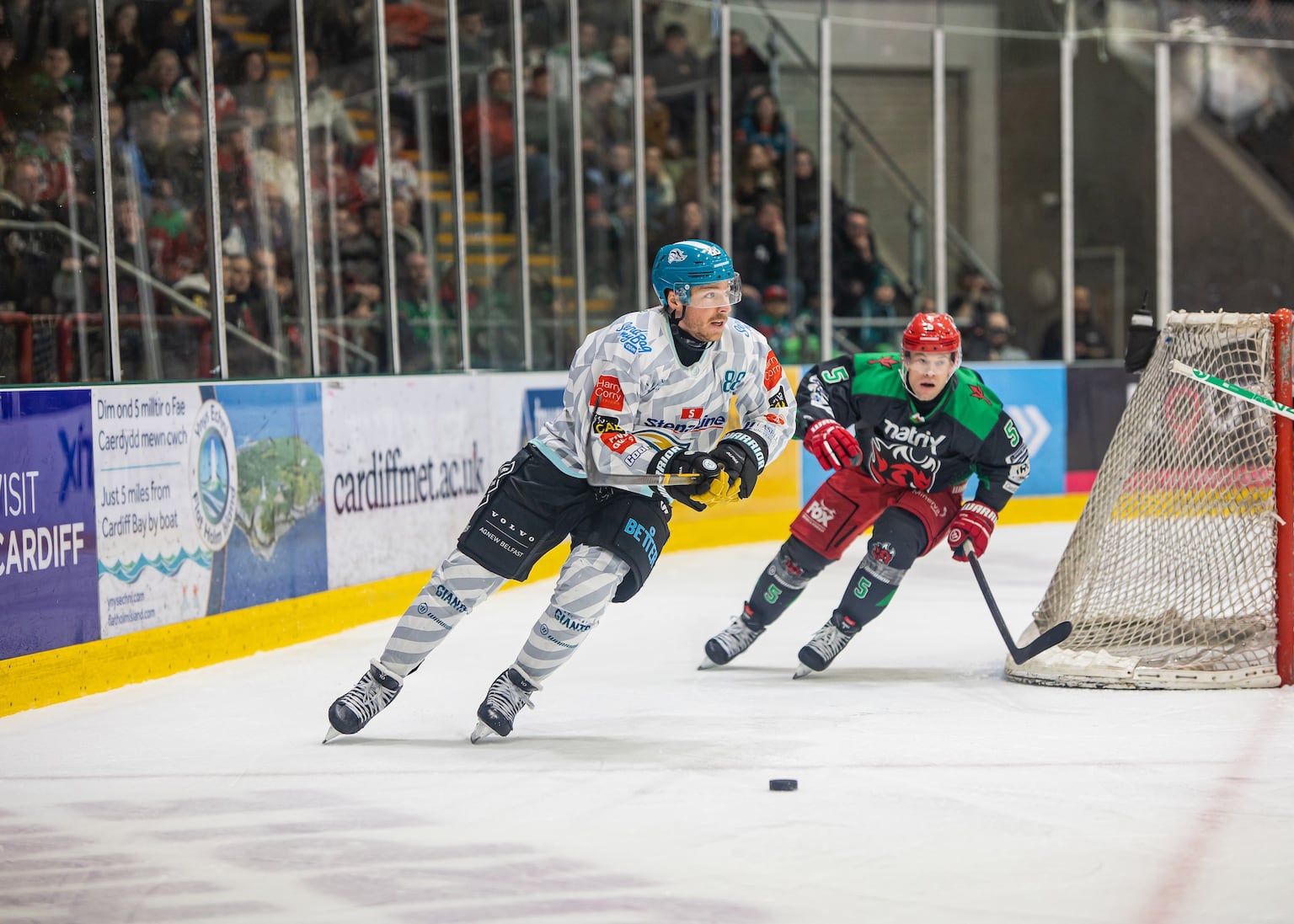 Belfast Giants’ momentum checked after disrupted weekend