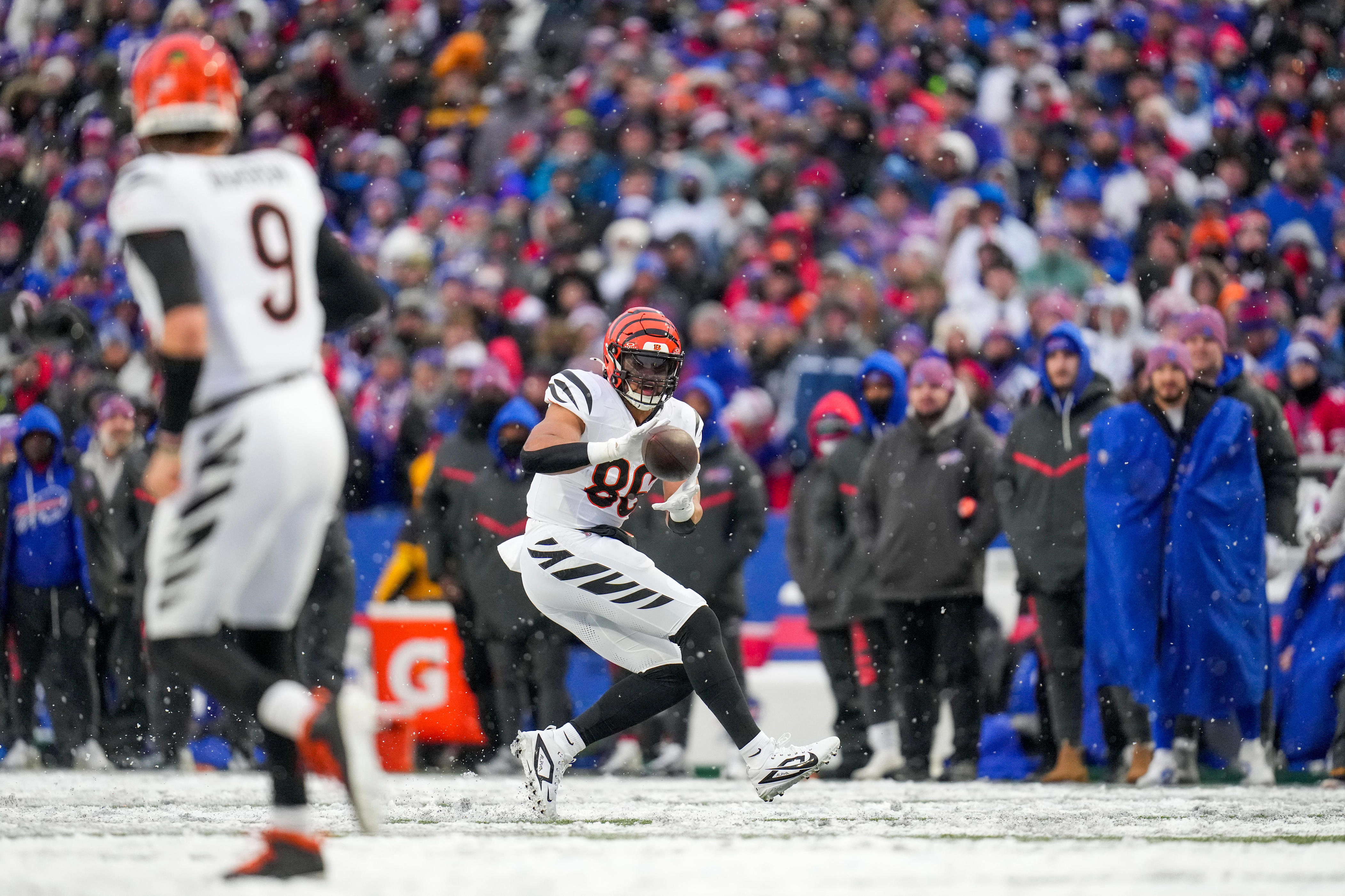 When will the Bengals play their games in NFL weeks 17 and 18?