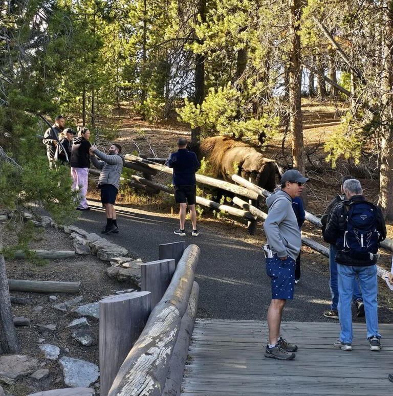 Onlooker captures stunning photo of tourists' reckless behavior near ...