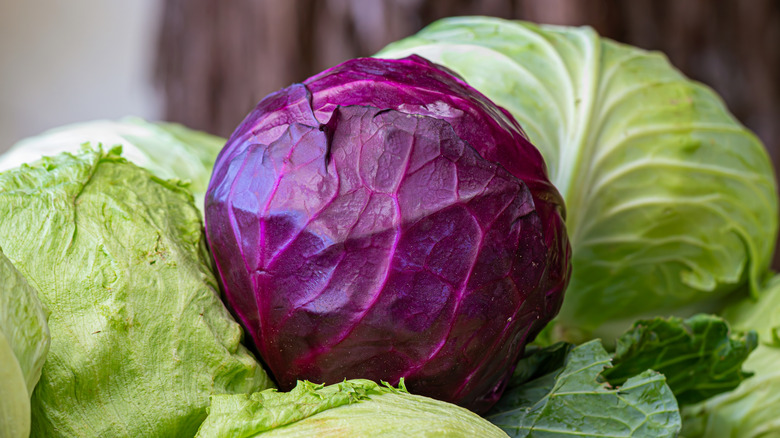 Why you should reach for red cabbage over green when it comes to roasting