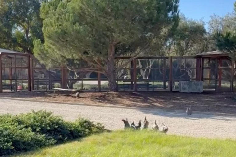 Ellen DeGeneres' second Cotswold home was the scene of a gruesome murder