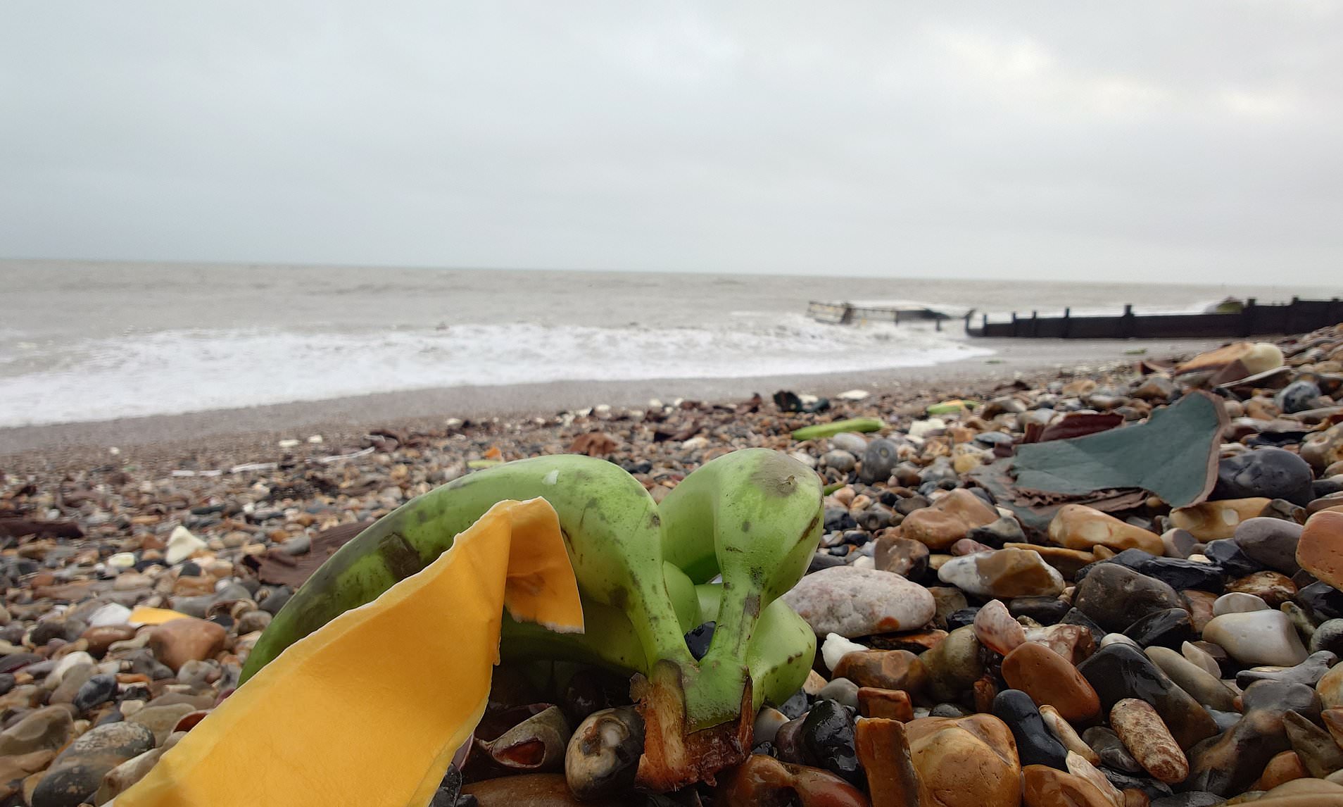 That's bananas! Moment thousands of bunches of fruit wash up on UK beach