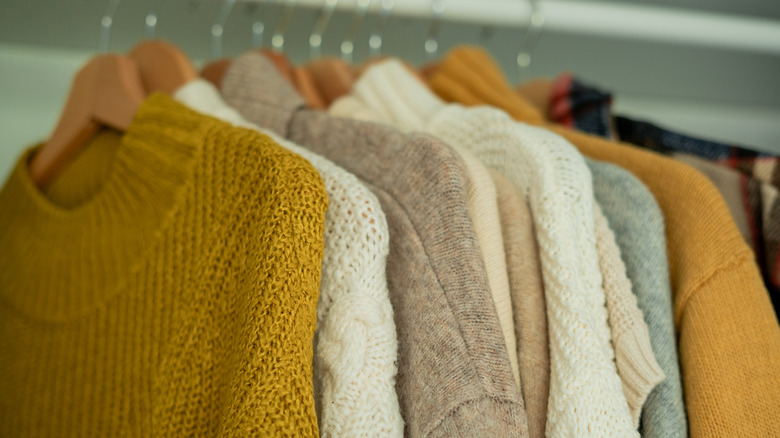 12 essential sweater storage ideas to keep your closet organized