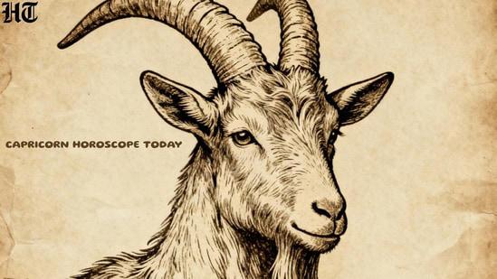 Capricorn horoscope today for December 8, 2025: Avoid major monetary ...