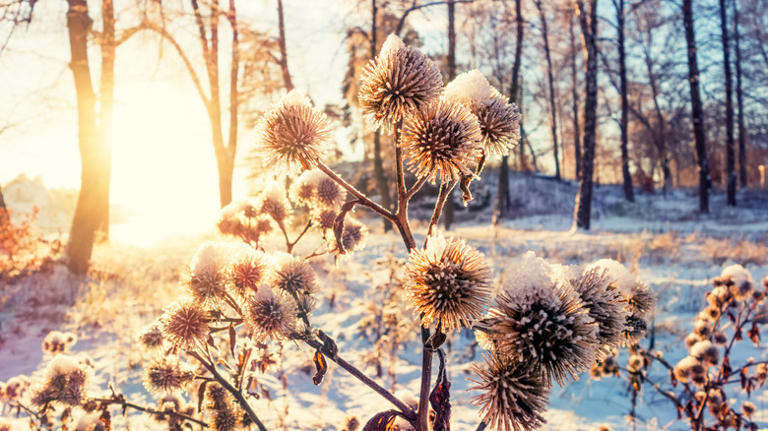 The winter solstice is quickly approaching. Here's how it'll impact ...