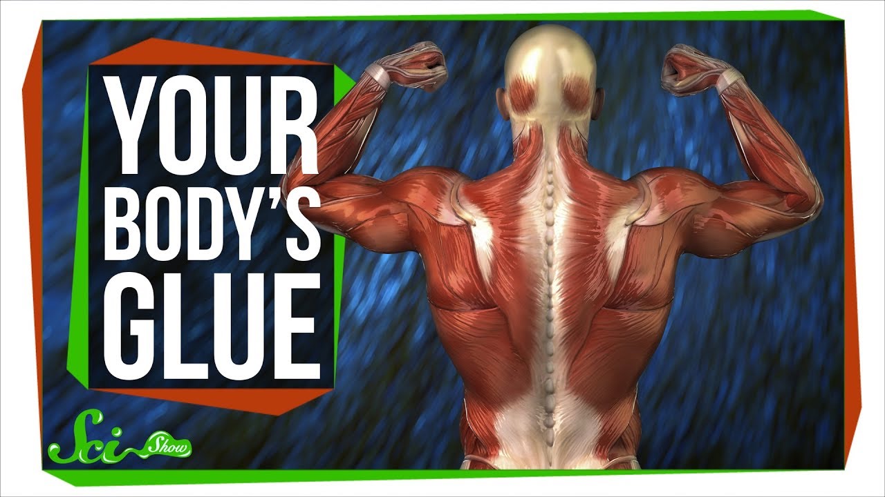 Fascia: The body's remarkable, functional glue