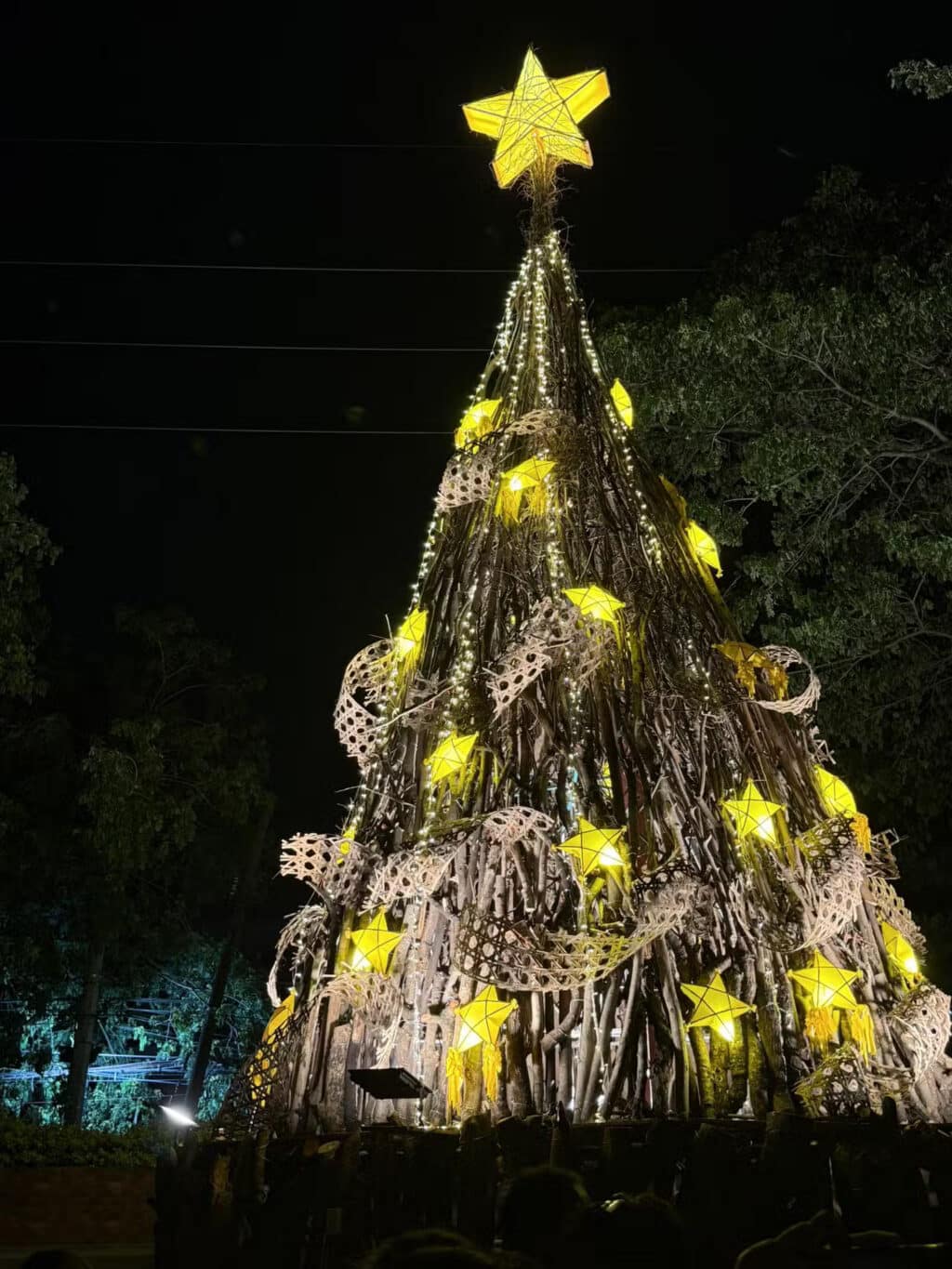 After the storm: Broken branches become UP Cebu Christmas tree