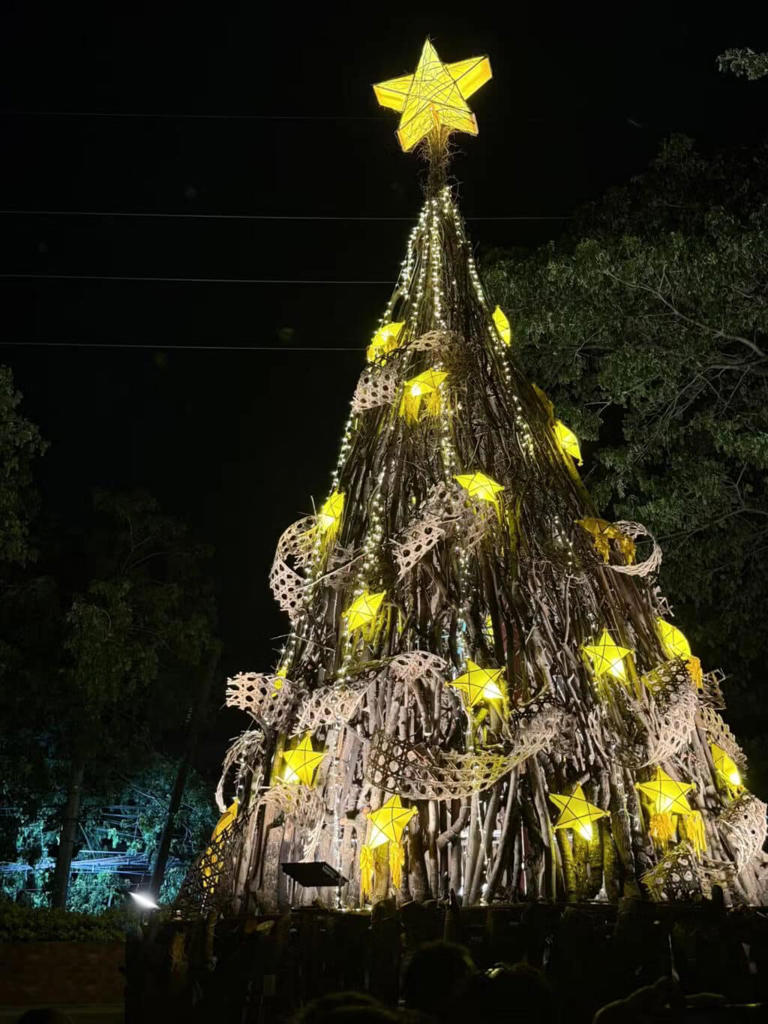 After the storm: Broken branches become UP Cebu Christmas tree
