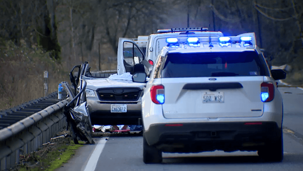 Woman killed after tree falls on car in Carnation, driver critically ...