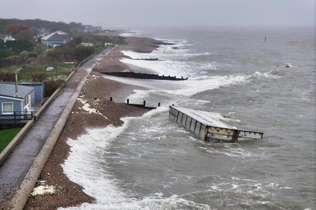 Everything we know so far after shipping containers full of bananas ...