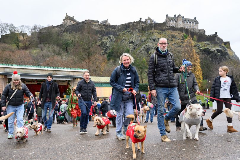 Over 100 dressed-up dogs descend on Edinburgh for Christmas charity event