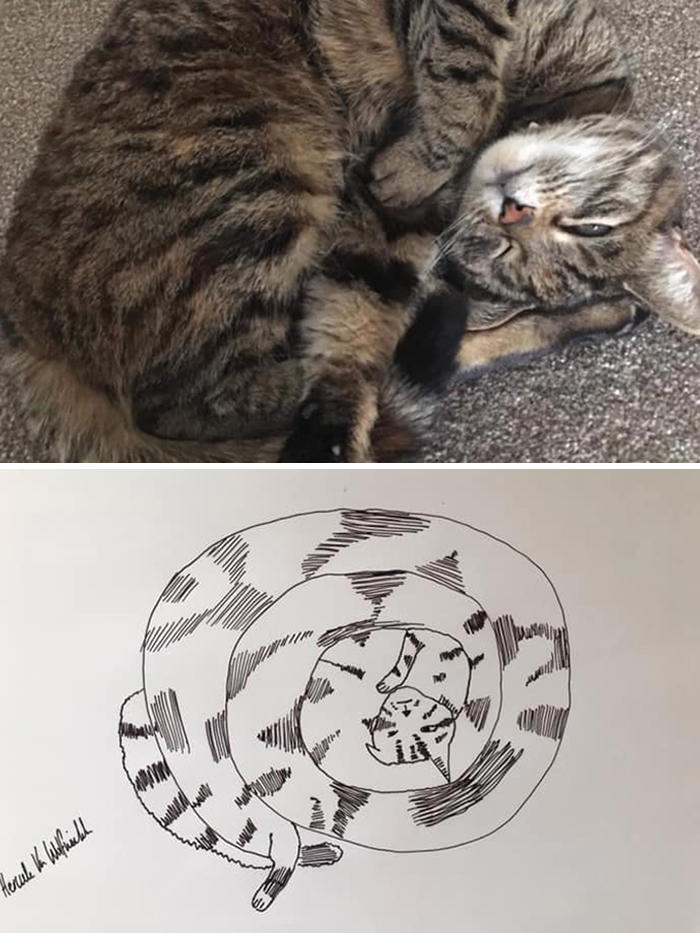 Man who’s never drawn in his life does crappy pet portraits for charity ...