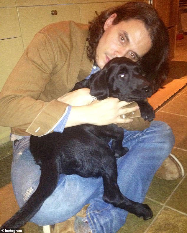 John Mayer announces death of dog Moose with heart-wrenching tribute post