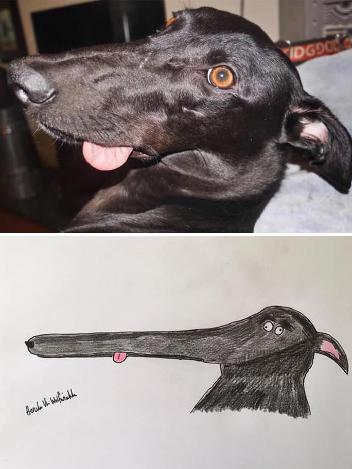 Man who’s never drawn in his life does crappy pet portraits for charity ...