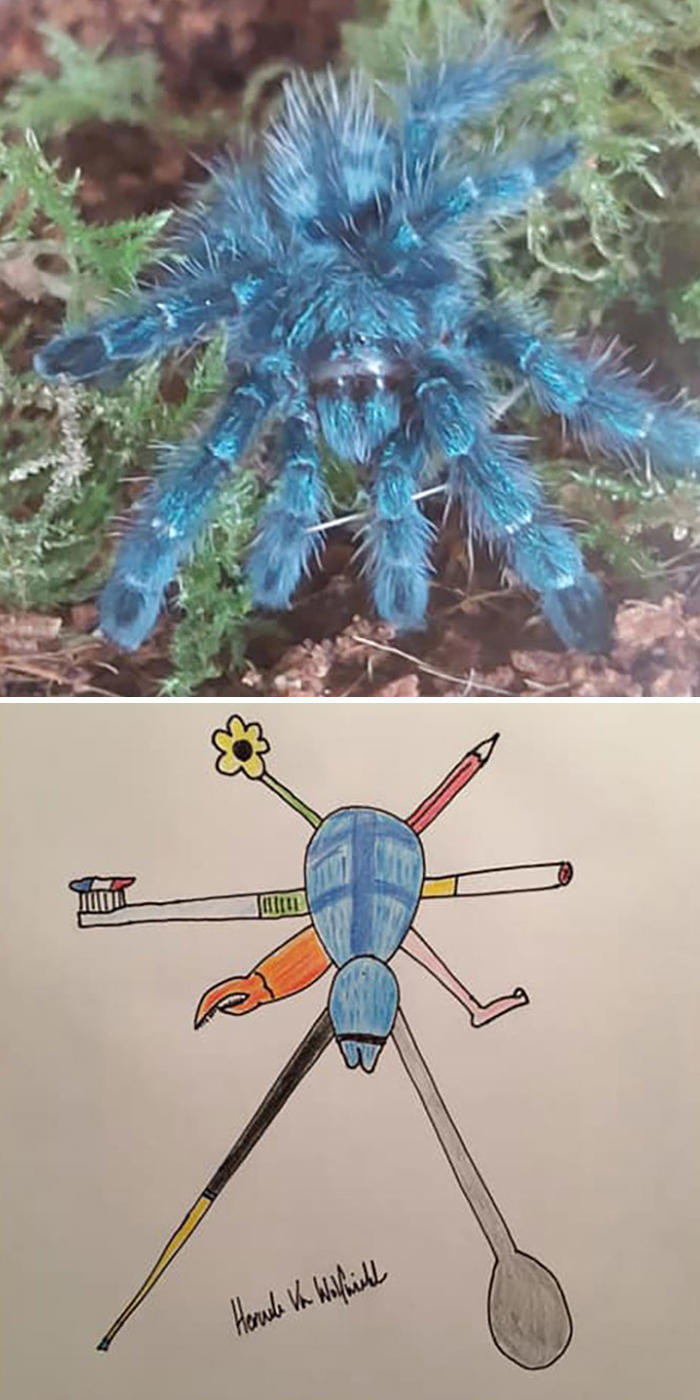 Man who’s never drawn in his life does crappy pet portraits for charity ...