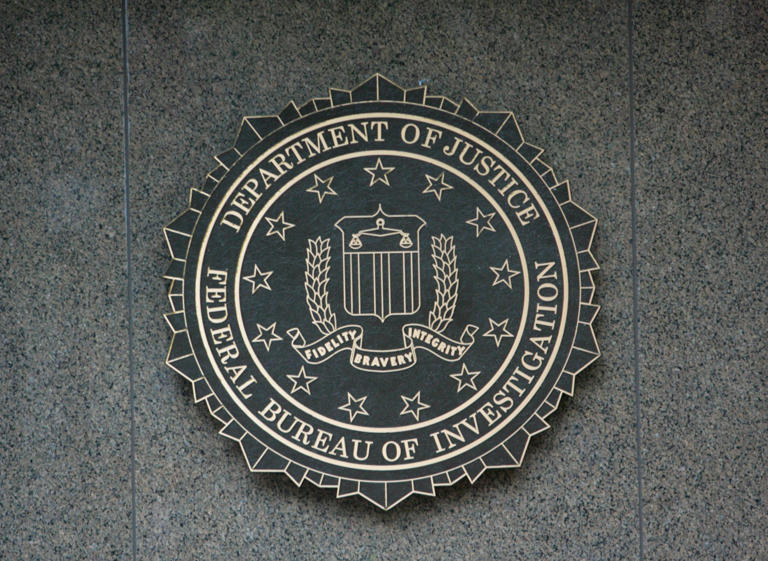 Former FBI agents sue director